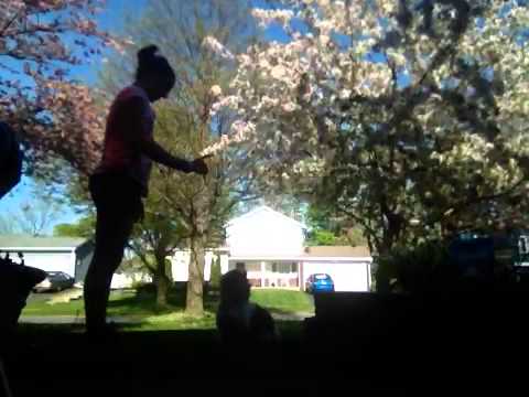 Jeter the dog sits - YouTube