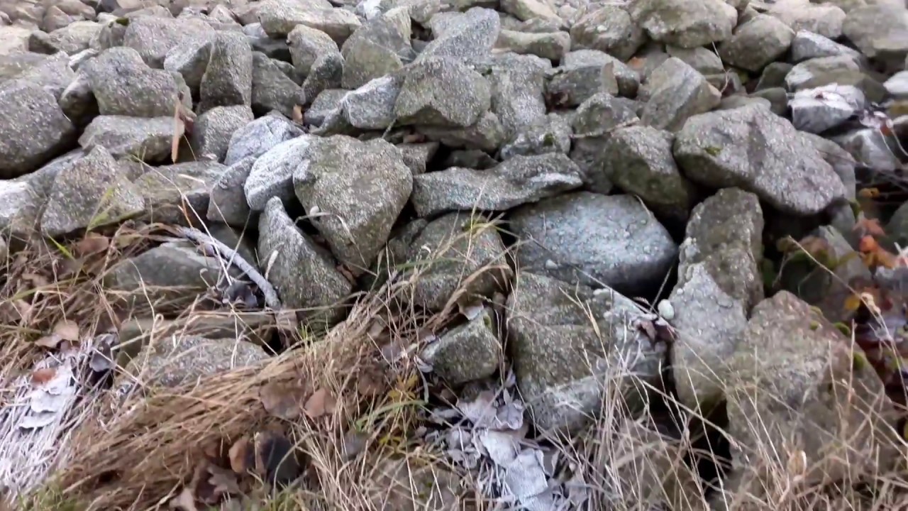 Samsung Galaxy A5 2017 Video Sample