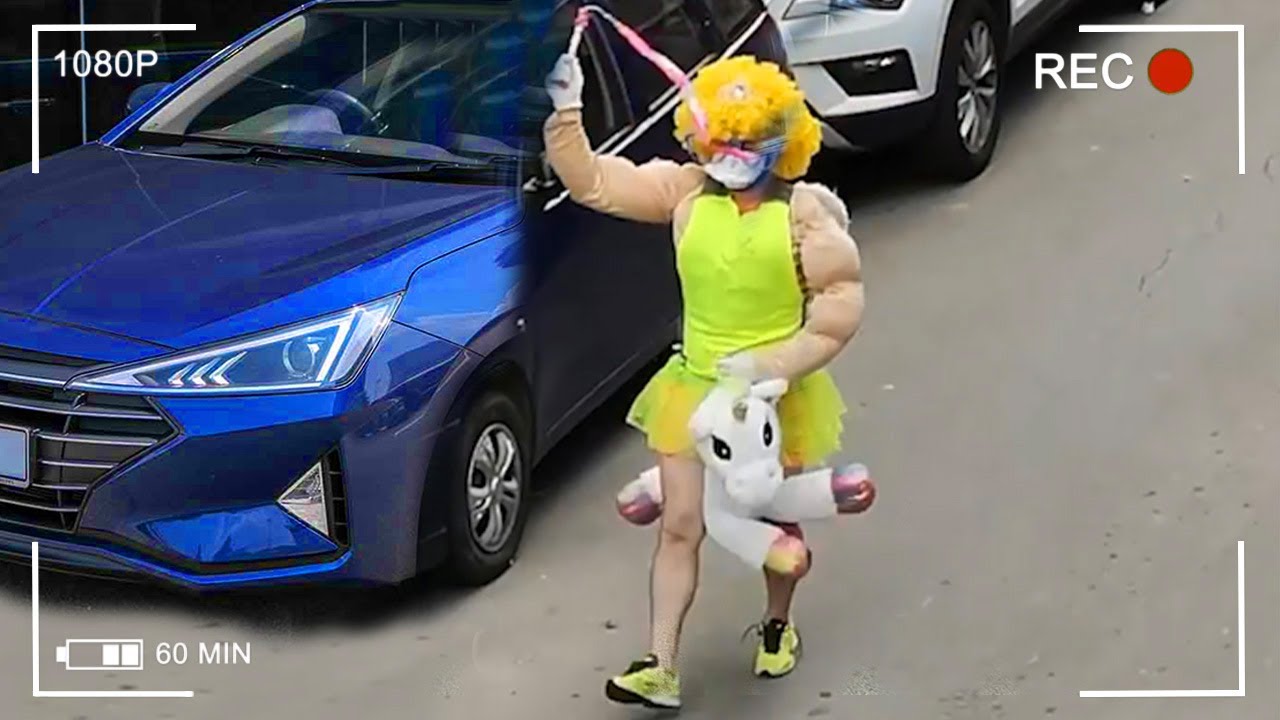 85 Ridiculous Moments Help You Get Out of A Bad Day Watch Now! - YouTube