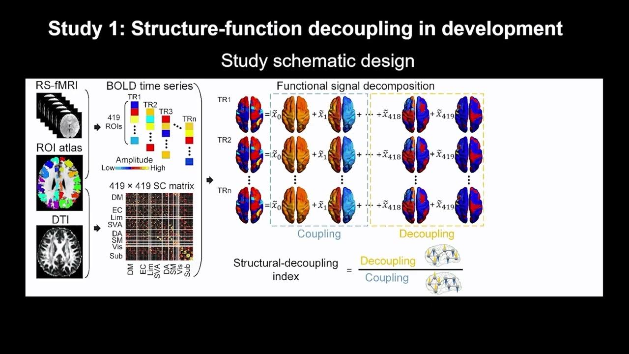 OHBM 2024 | Symposium | Xing Qian | Brain structure-function decoupling underlies cognitive ...