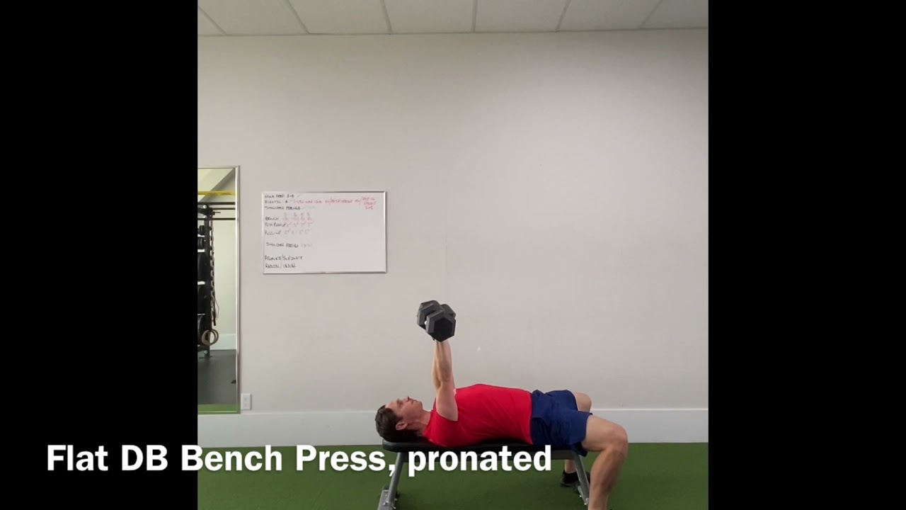 Flat DB Bench Press, pronated - YouTube