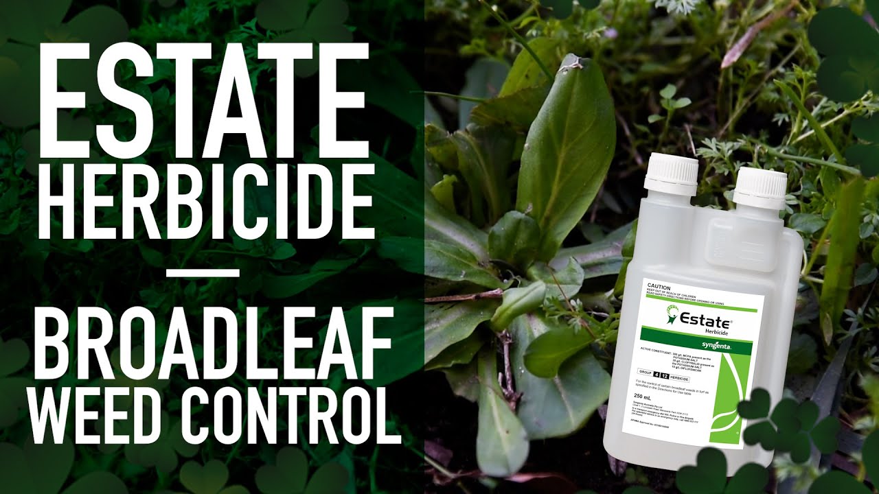 What Is A Broadleaf Herbicide