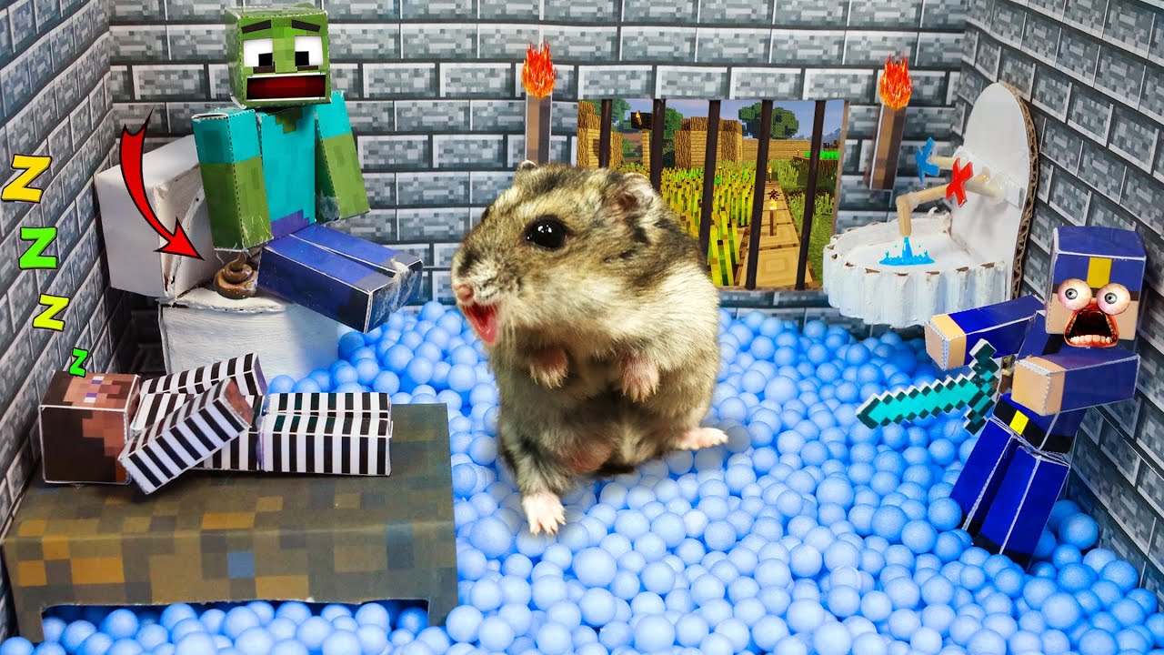 Mister Hamster Escapes Minecraft Maze Complation 🐹 Hamster Stories ...