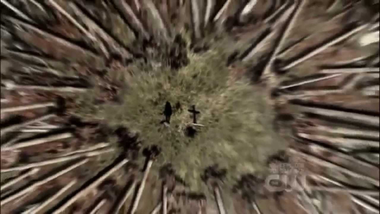 Supernatural - White rabbit *.* - YouTube