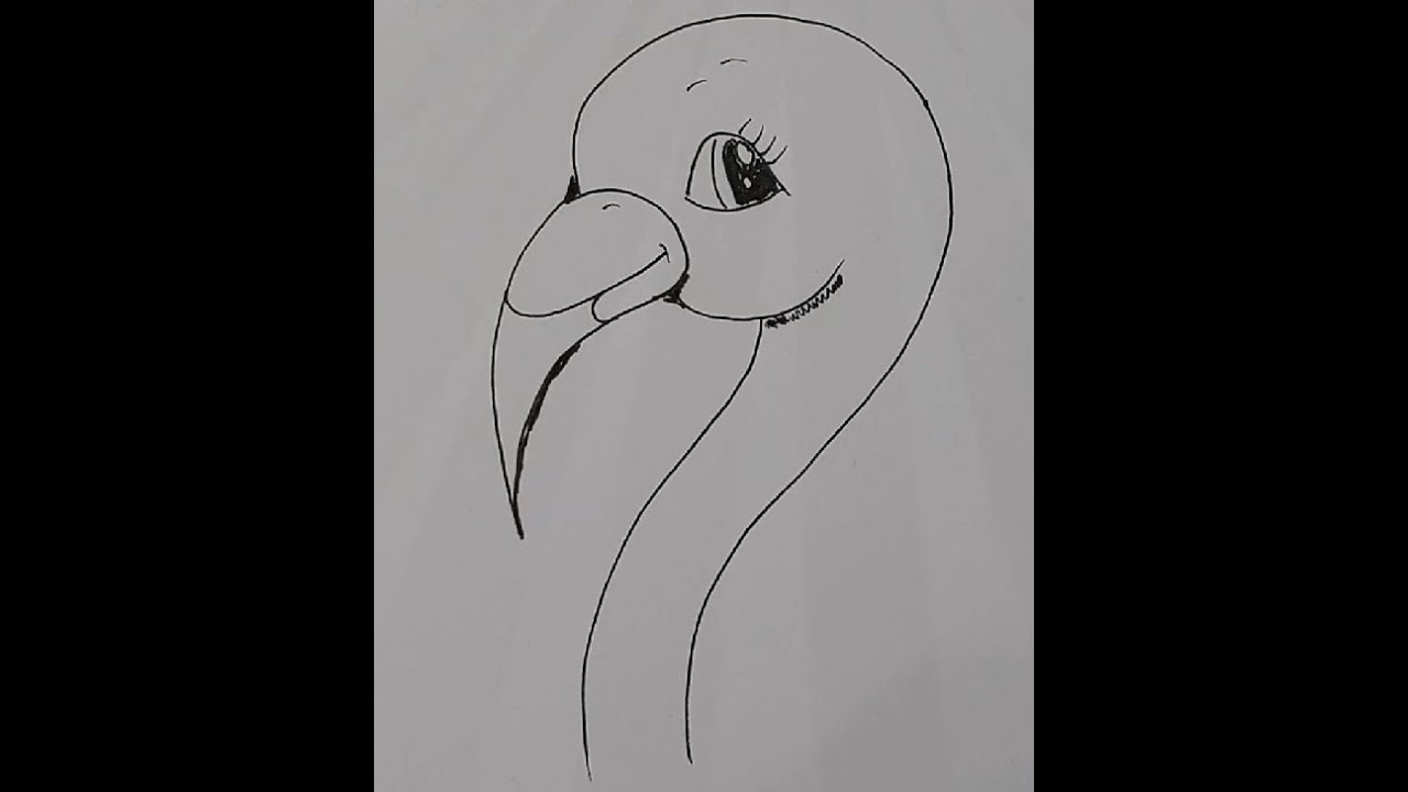 How to Draw a Flamingo | Cómo Dibujar un Flamenco | 如何画火烈鸟 | फ्लेमिंगो ...