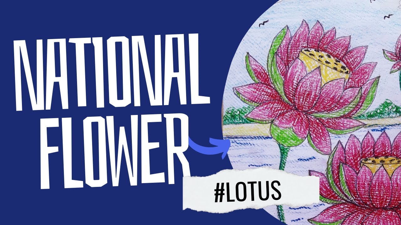 HOW TO DRAW A LOTUS || STEP BY STEP|| NATIONAL FLOWER|| - YouTube