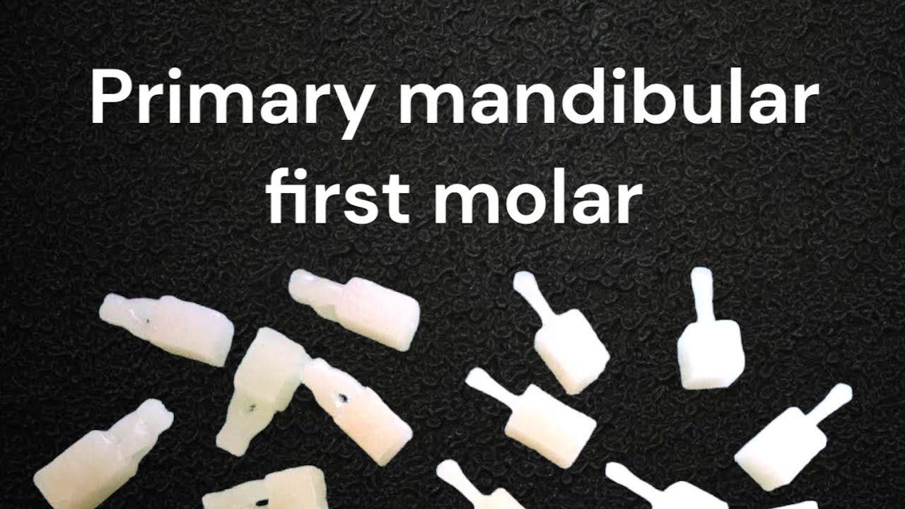 primary mandibular first molar carving - YouTube