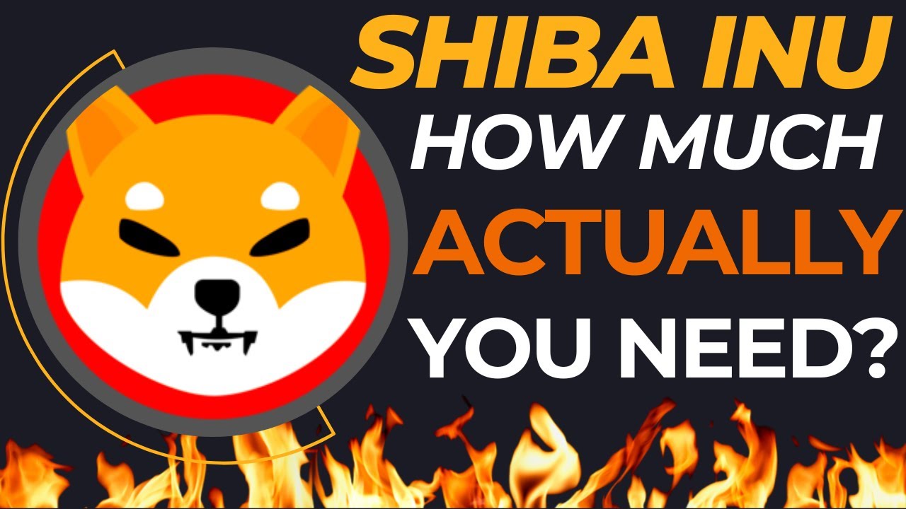 SHIBA INU: 99% OF YOU DON'T HAVE ENOUGH SHIBA INU TO GET RICH (NO JOKE ...