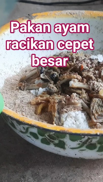racikan pakan ayamkampung sekalarumahan cepet besar #ayam #ayamberkualitas #pakanayam # ...