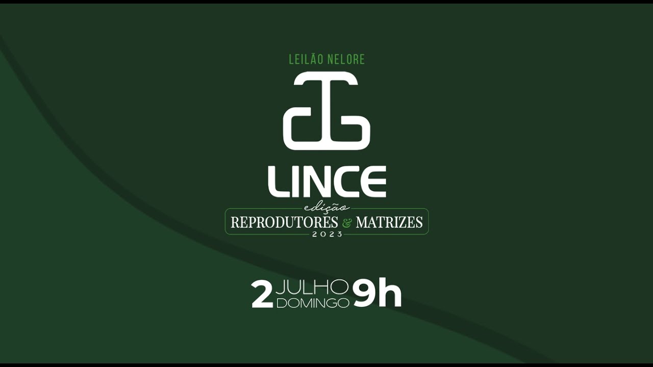Lote 65 (Laupur FIV LINCE - GART 1504) - YouTube