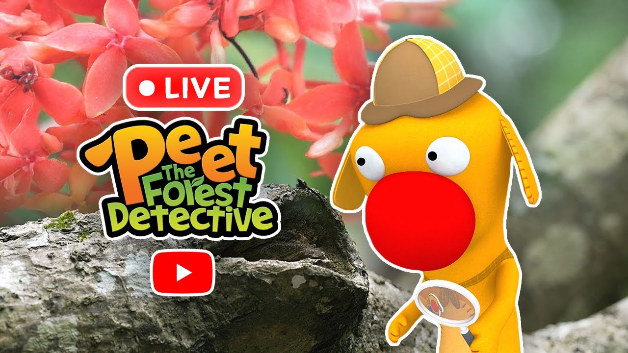 🔴 Peet the Forest Detective 3 HOUR LIVE STREAM 🌲🦊 #live #animals - YouTube