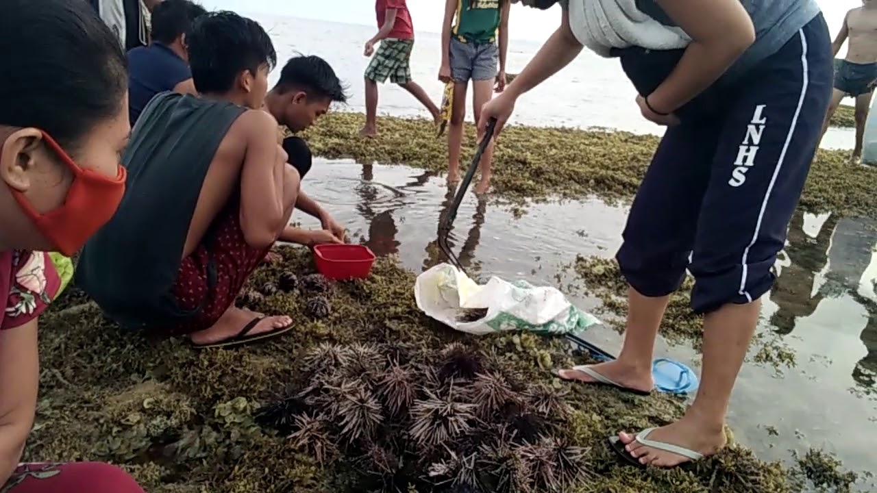 DAGAT DAGAT DAGAT SA BOHOL - YouTube