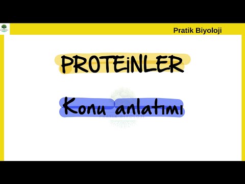 9. SINIF BİYOLOJİ -TYT - PROTEİNLER KONU ANLATIMI