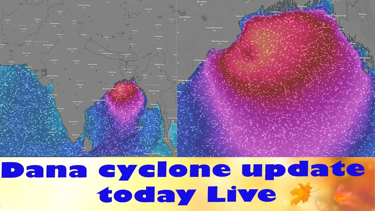 Dana cyclone update today Live - YouTube