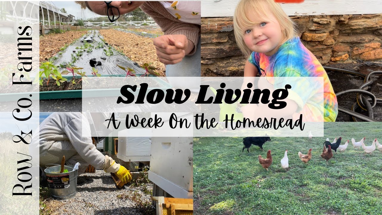 Slow Living - A Week On the Homestead - YouTube
