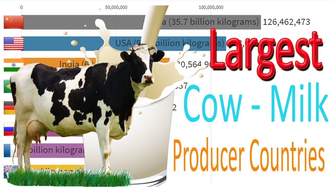 Top Largest Cow Milk Producer Countries YouTube top-largest-cow-milk-producer-countries-youtube