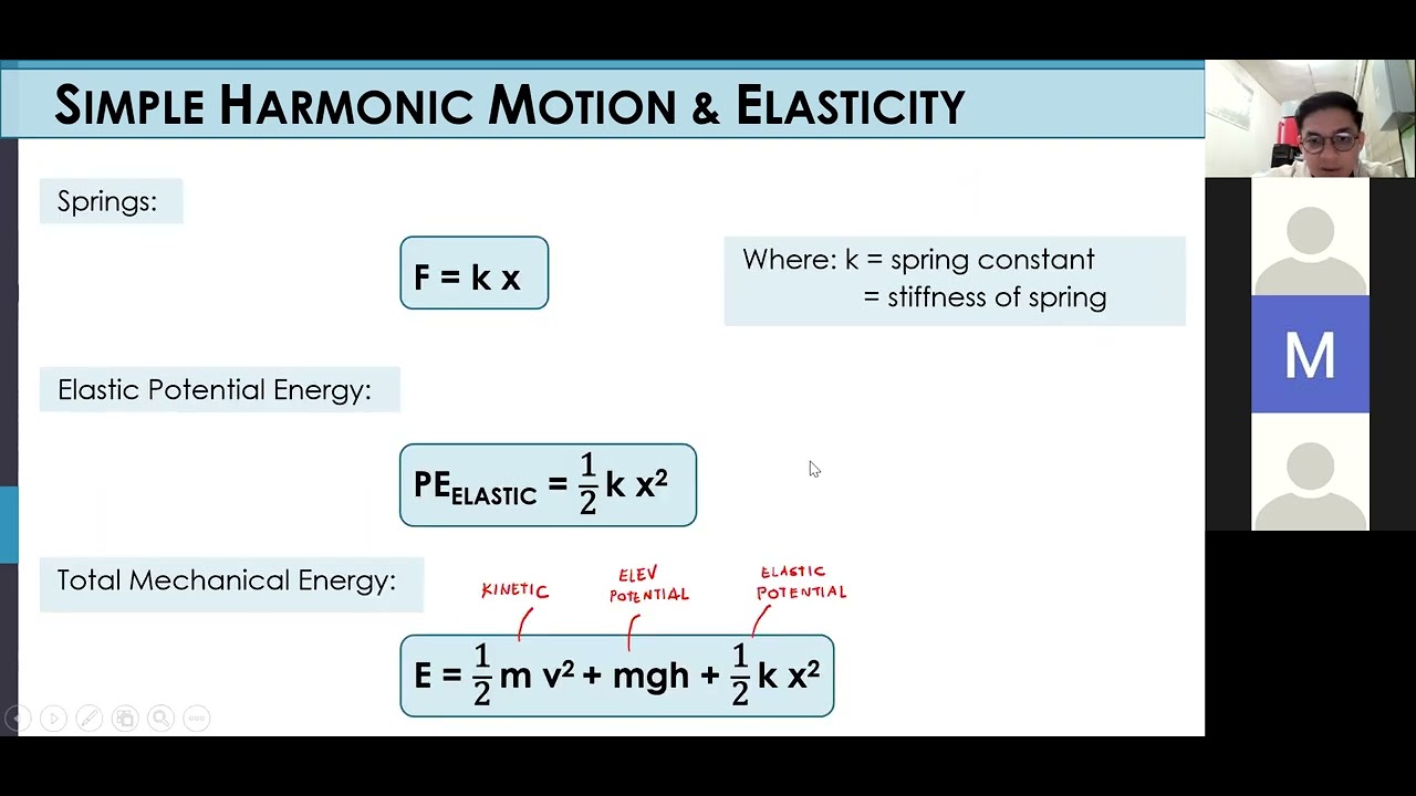 PHYSICS - Simple Harmonic Motion & Elasticity - YouTube