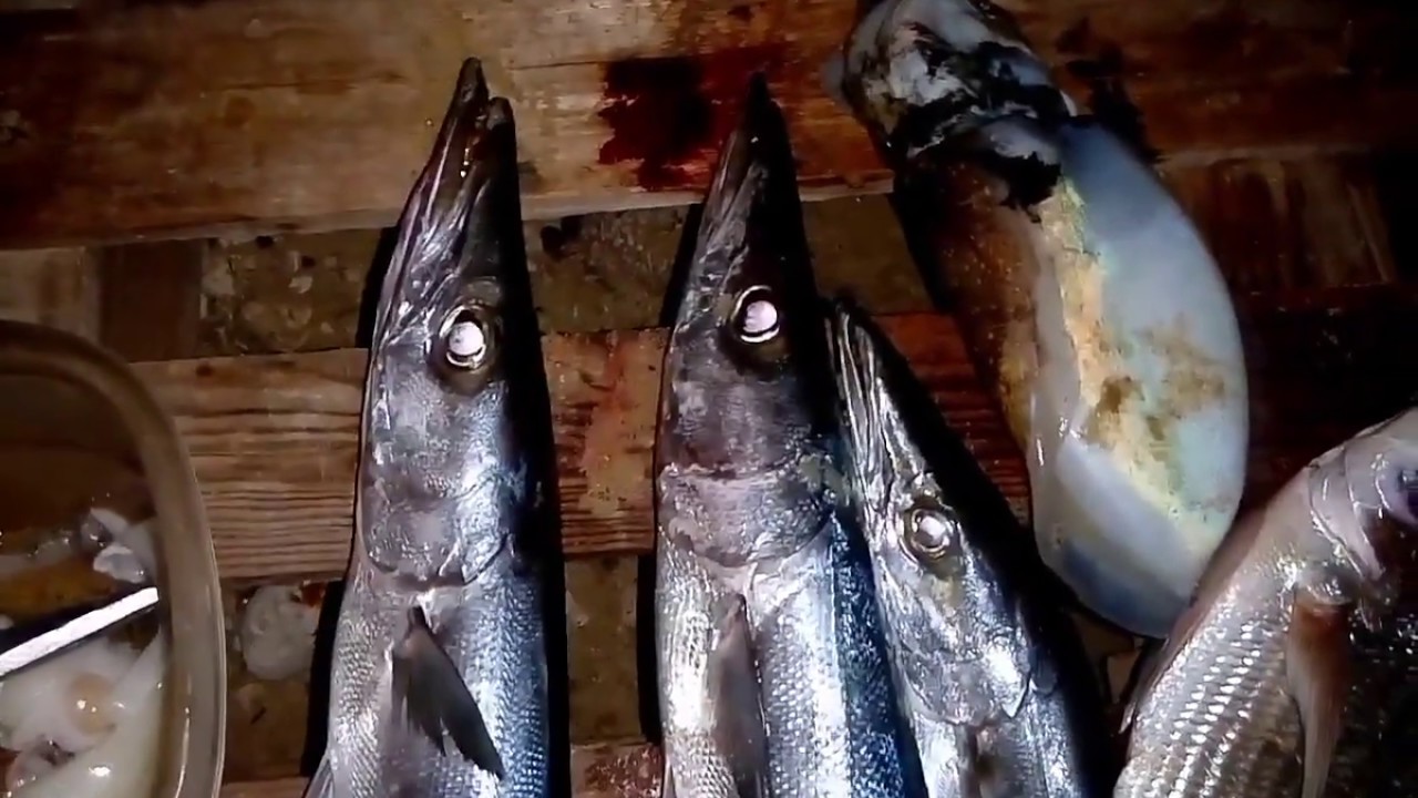 How to Cook 'Sinigang Bicol' Stew Fish - YouTube