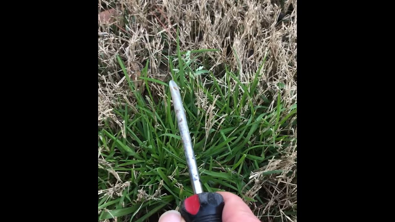 How To Spot And Remove Poa YouTube how-to-spot-and-remove-poa-youtube