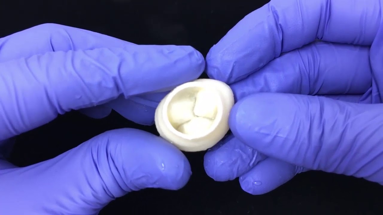 3d Printed Heart Valve