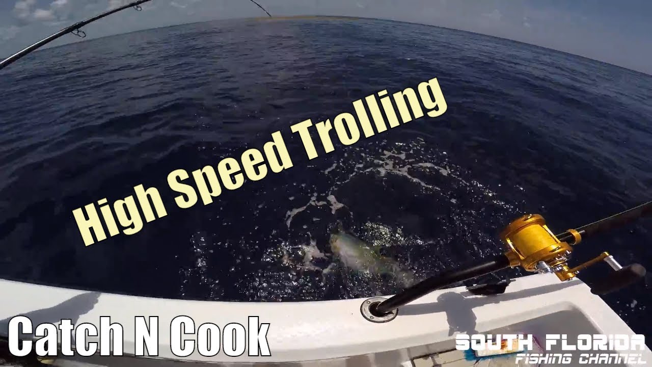 High Speed Trolling | Mahi & Yellow Jack Catch n Cook - YouTube