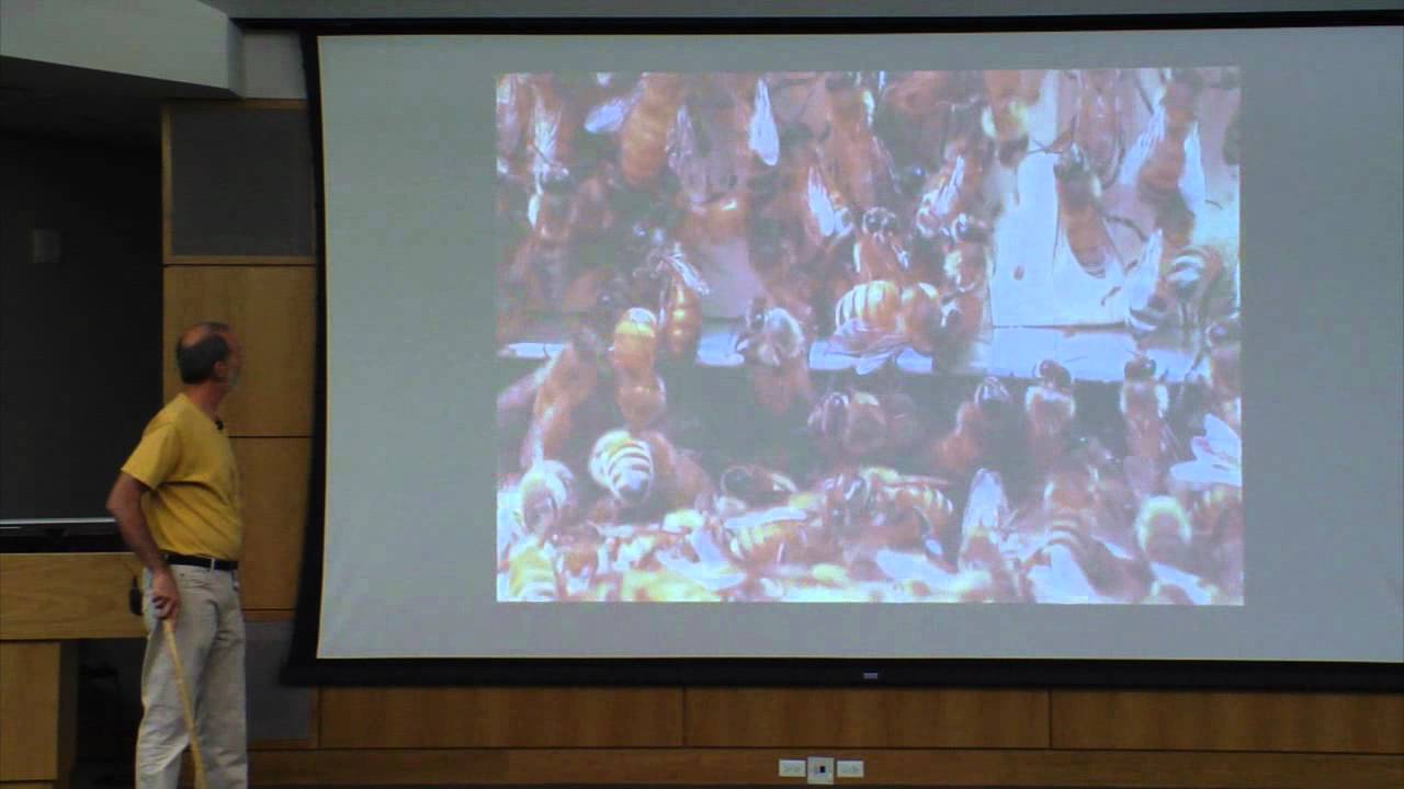 UVU: Ethics & Research on Human Subjects with Jeff Bulger - YouTube