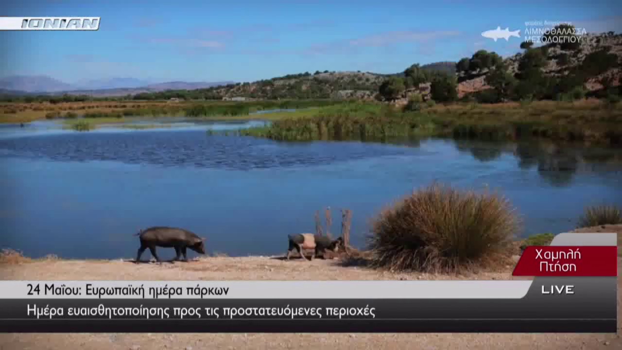 ΠΑΡΚΟ ΧΕΛΜΟΥ - ΒΟΥΡΑΙΚΟΥ | 24 Μαΐου: Ευρωπαϊκή Ημέρα Πάρκων - YouTube