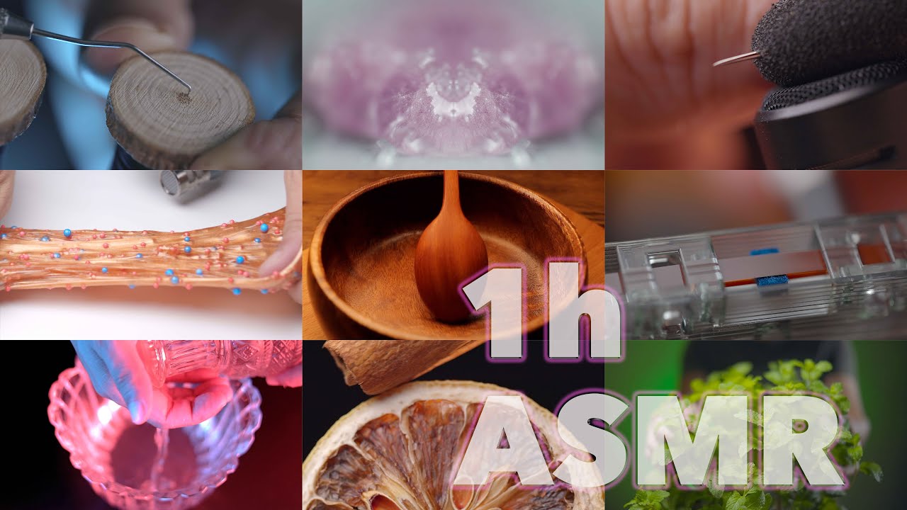 ASMR The Collection for Best Tingles (No Talking) - YouTube