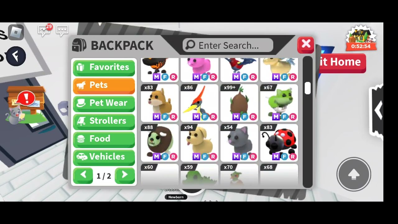 adopt me free pet script it in the comments - YouTube