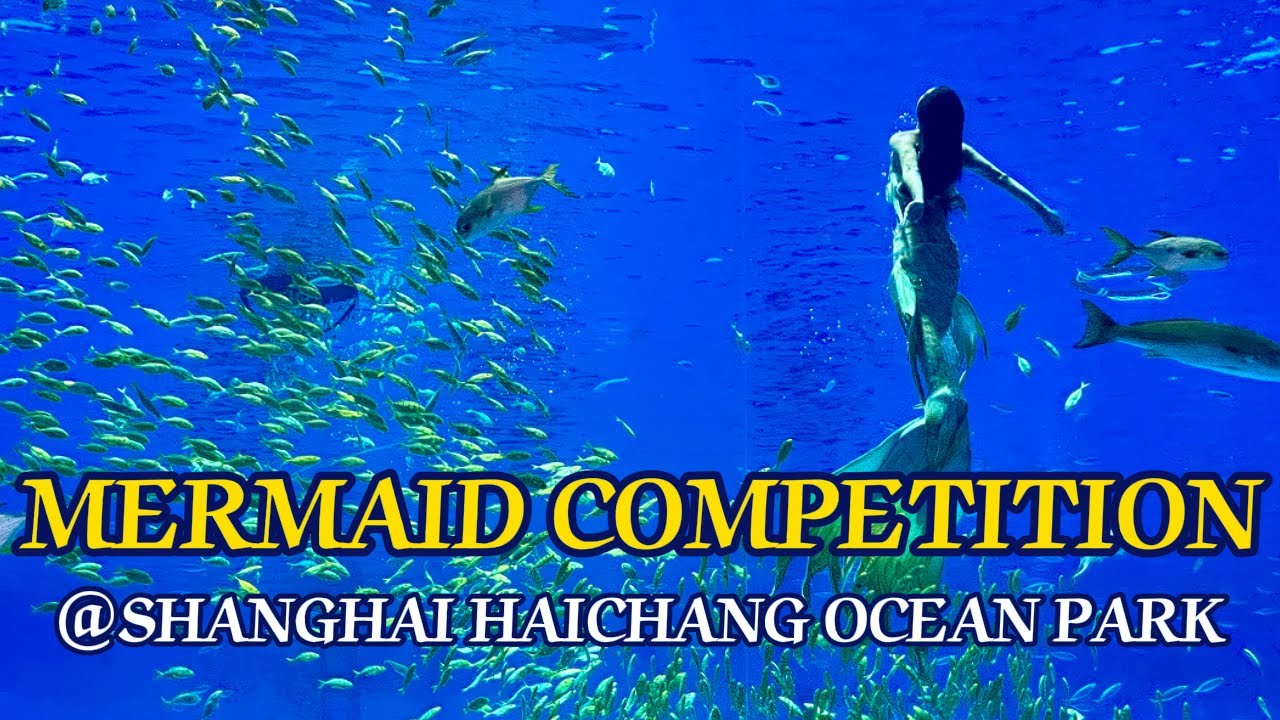 Mermaid Competition held at Haichang Ocean Park, Shanghai, China - YouTube