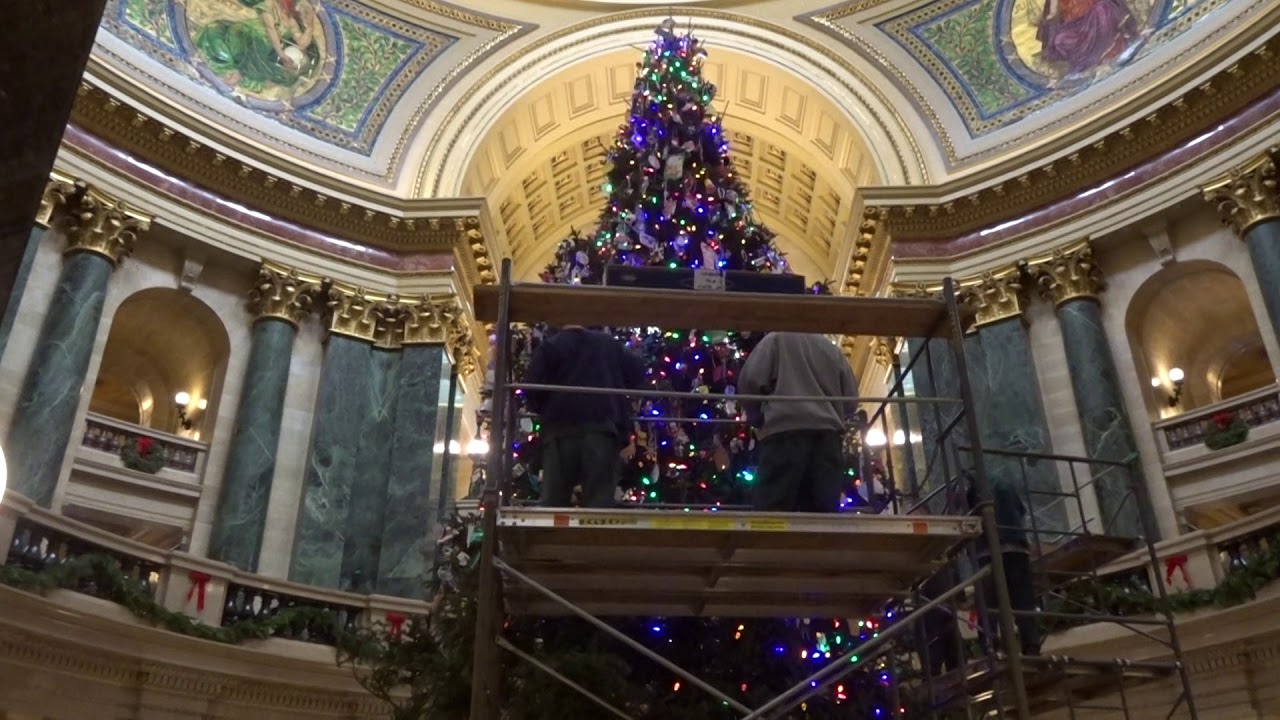 🎄Wisconsin State Capitol Christmas Tree - YouTube