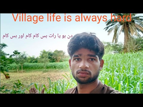 Village life bahut mushkil hoti hai. village life is always hard - YouTube