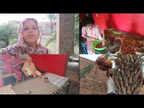 Rerhi aur wo bhi khajoron ke!! || Sumaira home vlogs || - YouTube