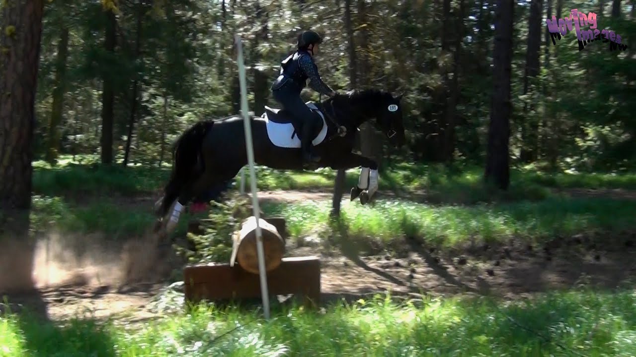 Elizabeth Gold; Equestrian Institute Horse Trials; May, 2023 - YouTube