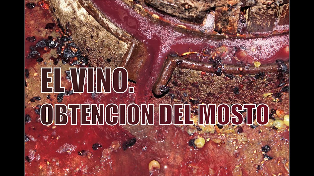 2/5. OBTENCIÓN DEL MOSTO. ELABORACIÓN CASERA Y TRADICIONAL DEL VINO ...