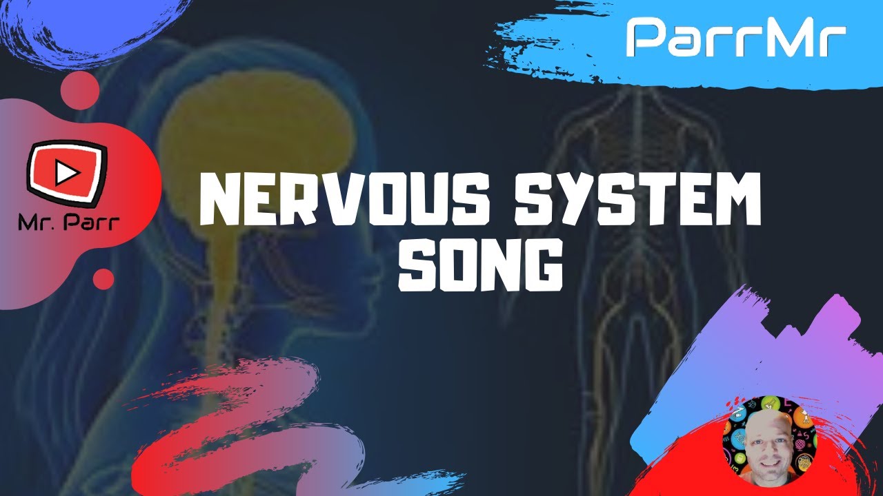 Nervous System Song - YouTube