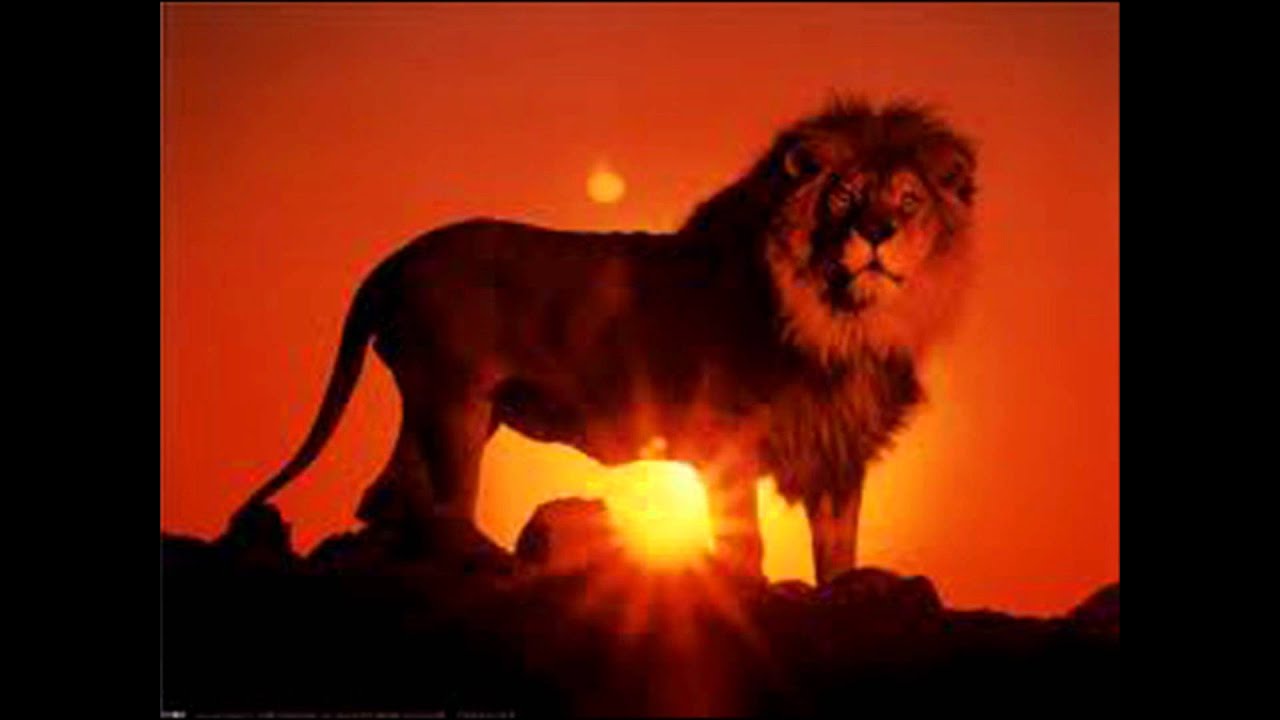 Ranks Productions Fire Rock Riddim & Gain Riddim 2011 - YouTube