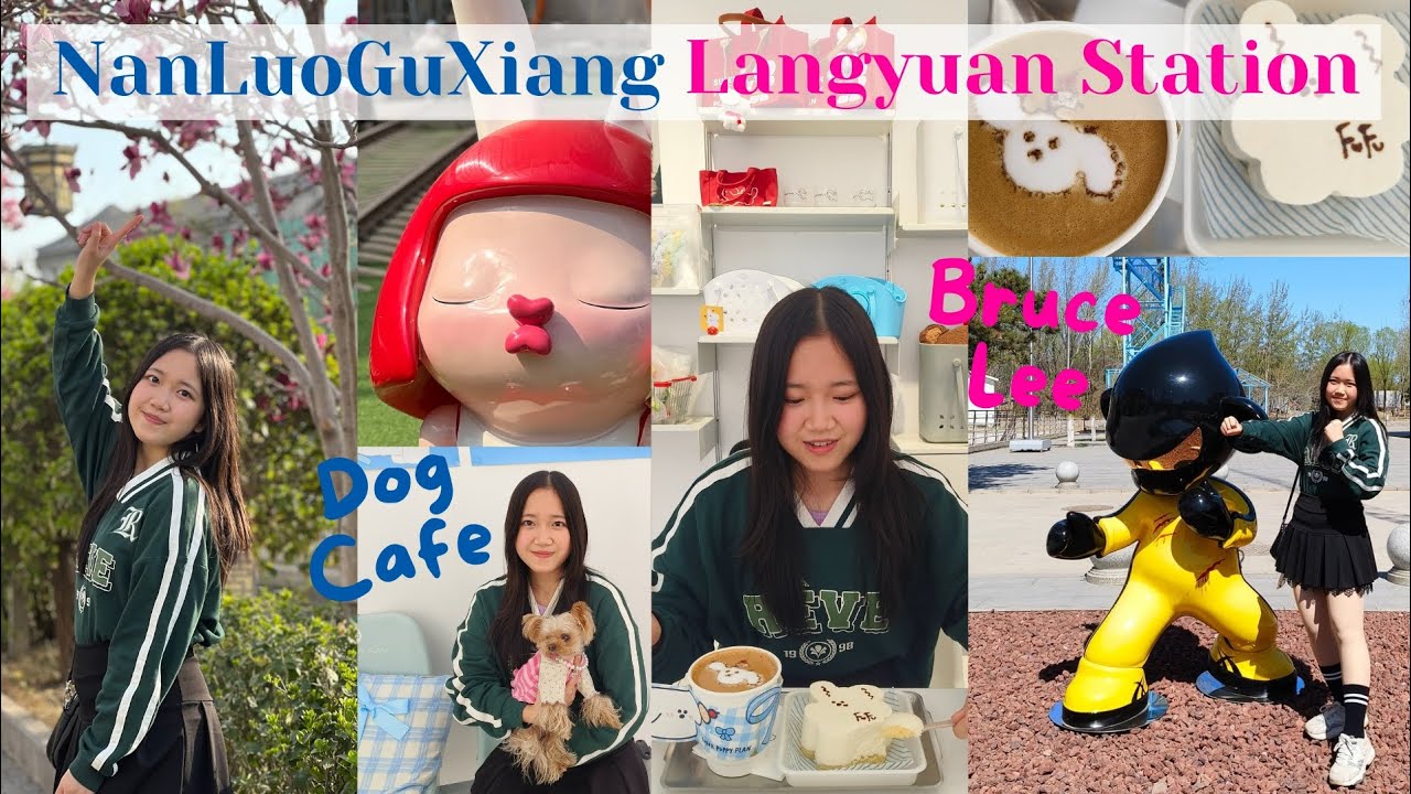 Weekend in Beijing🌸• visiting dog cafe, food recommendations, spring ...
