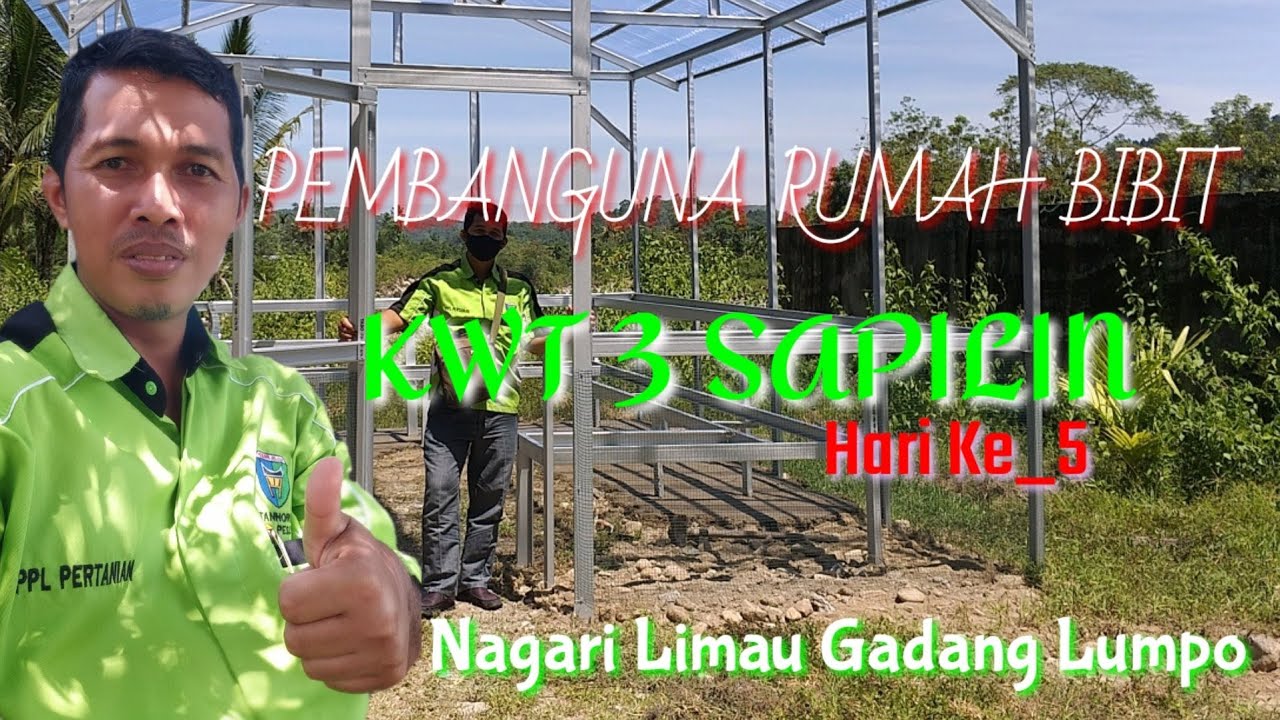 Rumah Bibit - YouTube