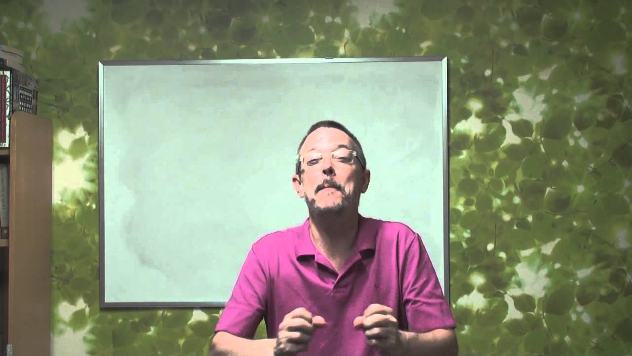 Learn English: Daily Easy English Expression 0227: What's all the fuss ...