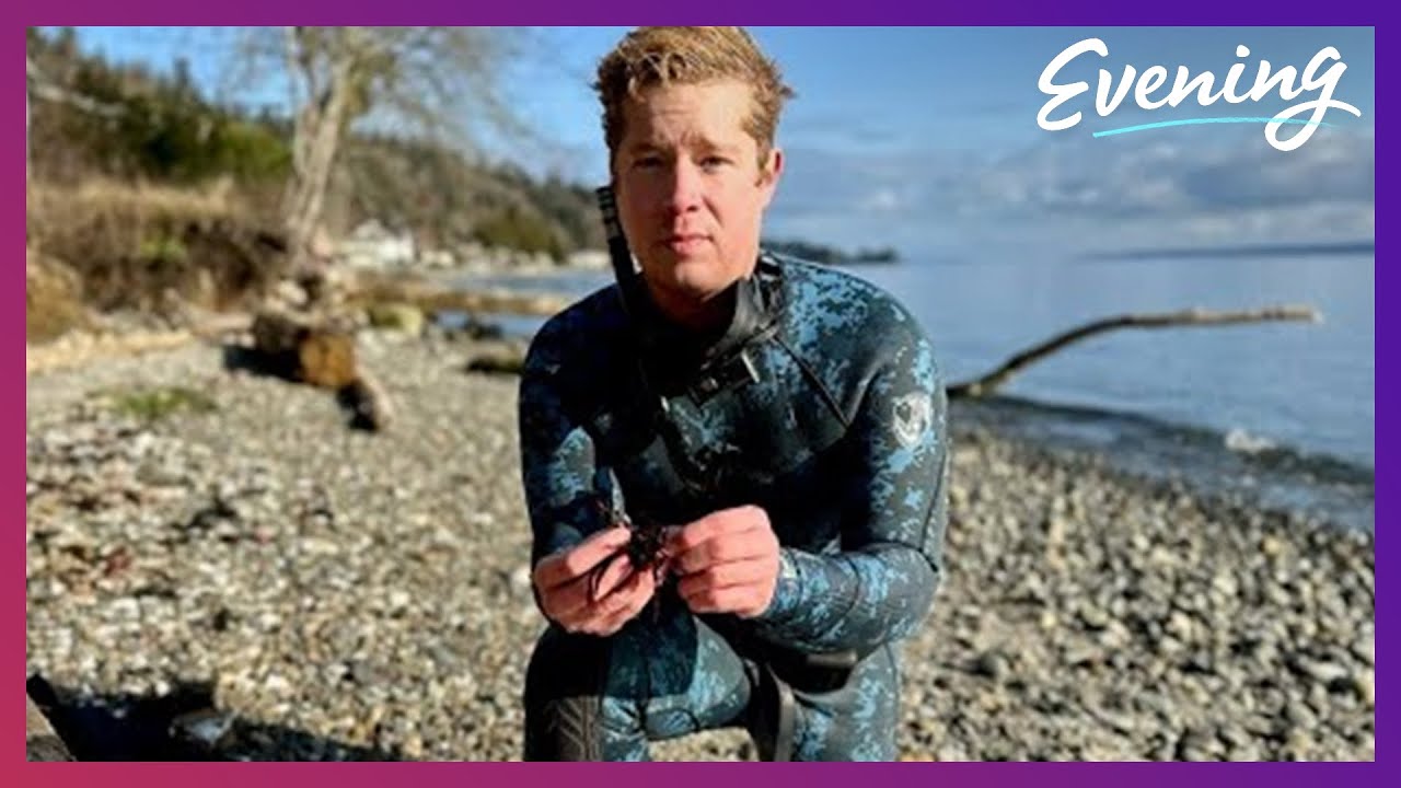 Meet the Bainbridge Island chef who free-dives for his favorite ...