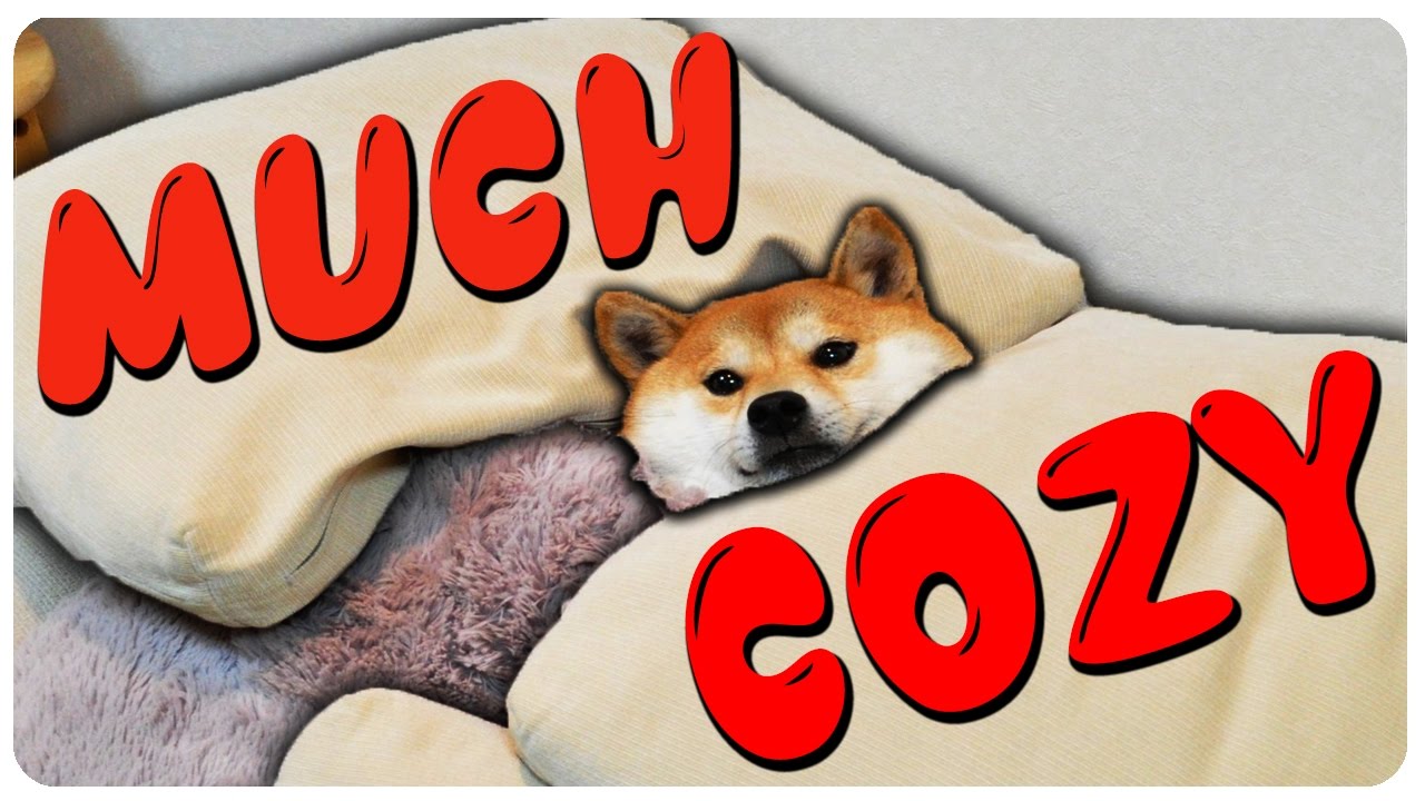 Ultimate Comfy... Right? - Cozy Gameplay | Let's Play Cozy (PC Game ...