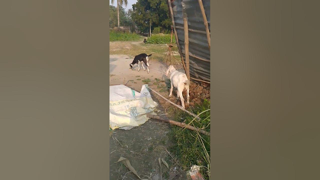 December 13, 2024 - YouTube