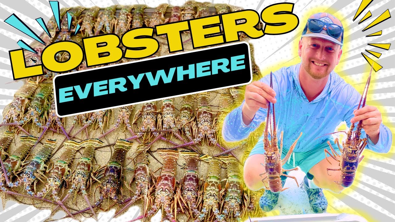 Lobster Diving! Florida Lobster Mini Season 2025 (Catch and Cook) - YouTube