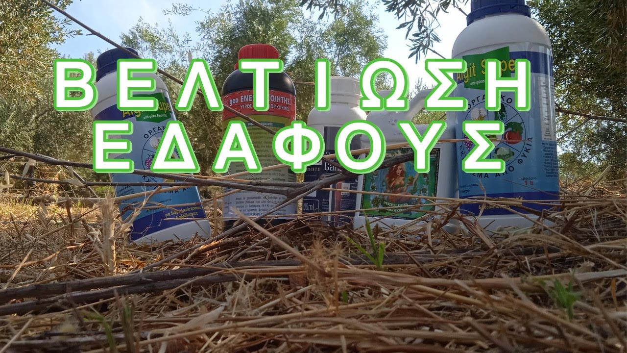 🫒ΕΛΙΑ🫒ΒΗΜΑΤΑ ΠΡΙΝ ΤΗΝ ΣΥΓΚΟΜΙΔΗ- ΥΔΡΟΛΙΠΑΝΣΗ-ΒΕΛΤΙΩΣΗ ΕΔΑΦΩΝ-ΘΡΕΨΗ 💧🚿 ...