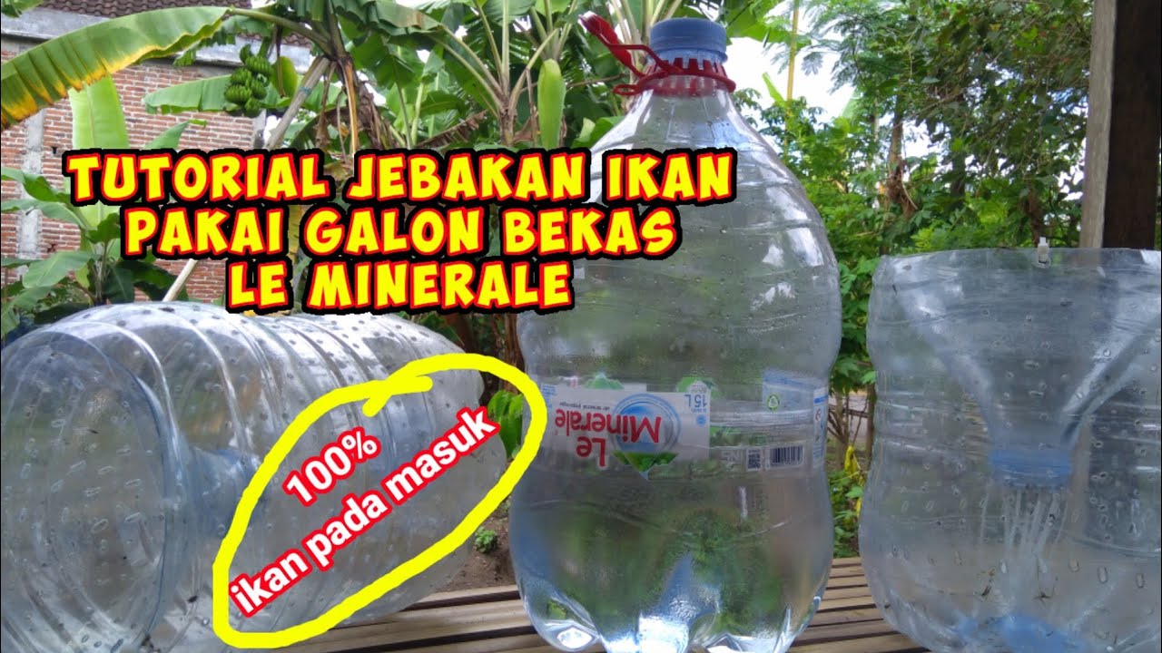 Tutorial Jebakan Ikan Dari Galon Bekas Le mineral 100% Full ikan ...