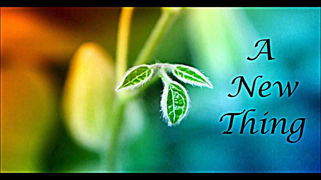 A New Thing - YouTube