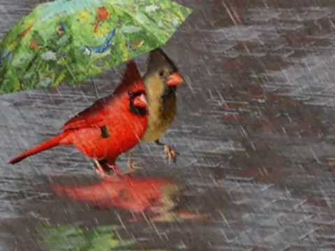 VINE   PLOAIA PIC PIC PIC