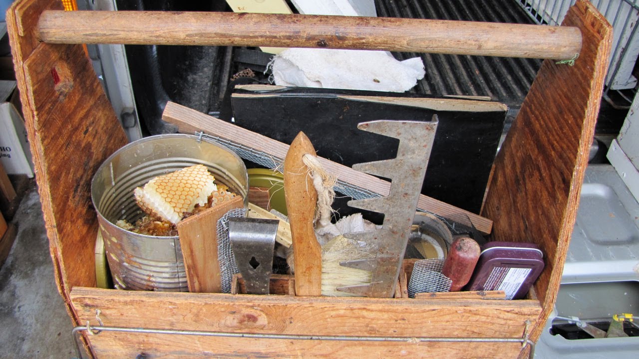 Essentials of Beekeeping: A Guide for Novice Beekeepers - YouTube