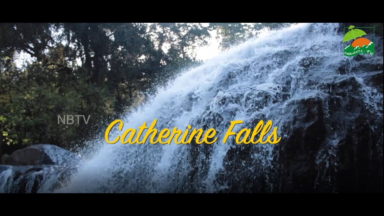 Beauty of Catherine Falls. - YouTube